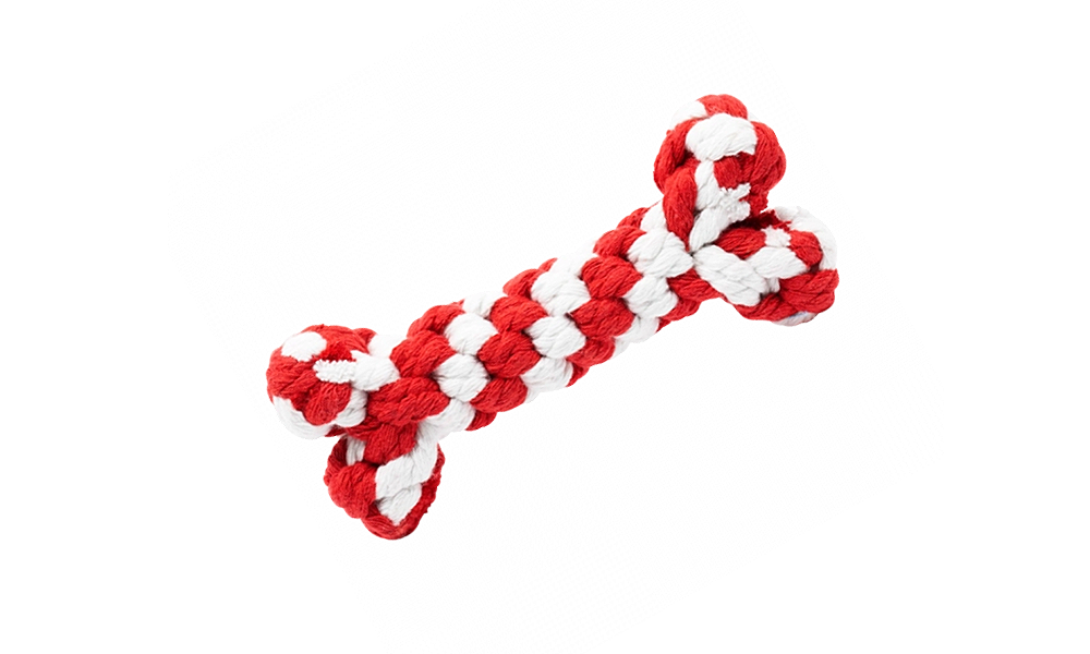 Jouets pour Chiens en Corde Lot de 4 - ChienMedaille.fr