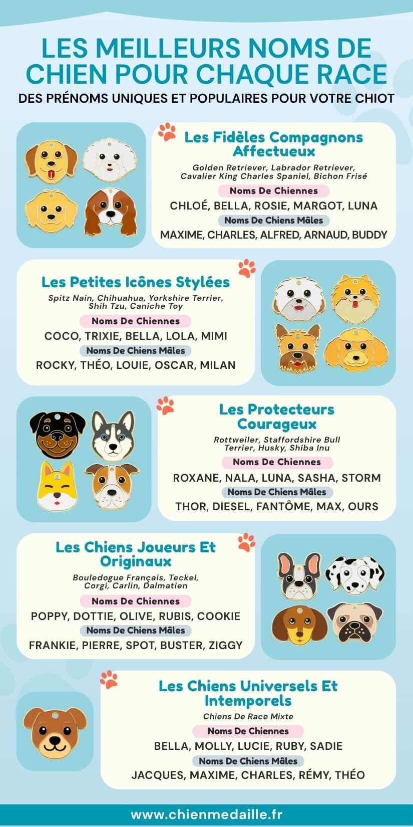 Nom de chien : les meilleurs prénoms pour chaque race de chiot